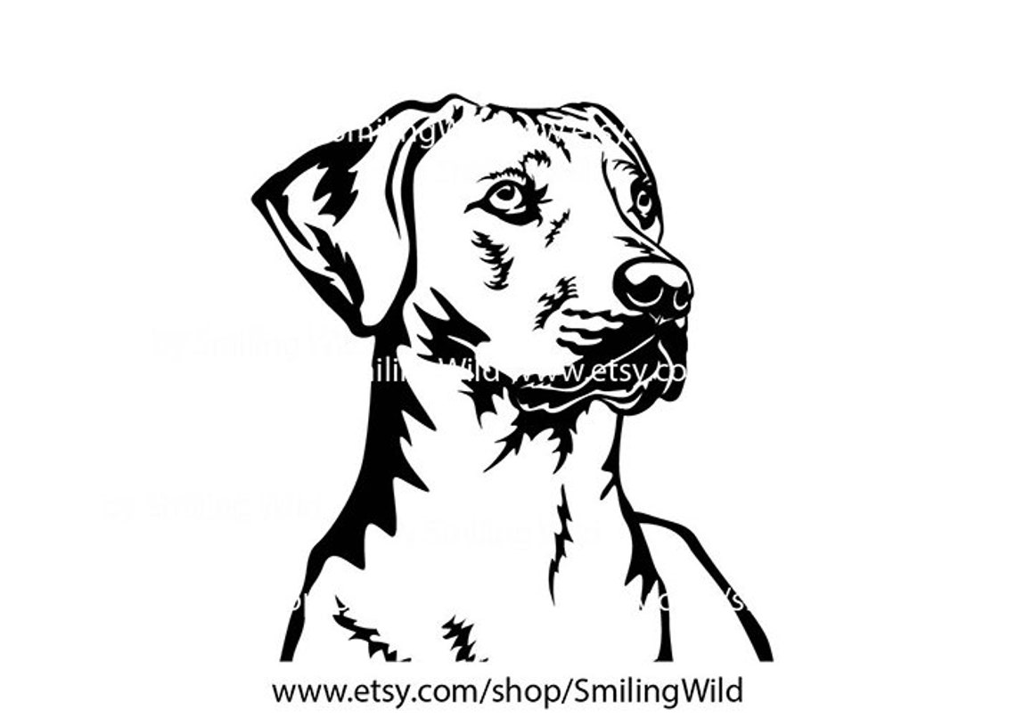 Rhodesian Ridgeback Svg Lying Dog Clipart Vector Graphic Art - Etsy