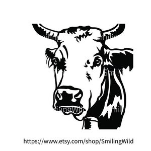 Simmental Cow Svg Vector Graphic Clip Art Simmental Cattle - Etsy