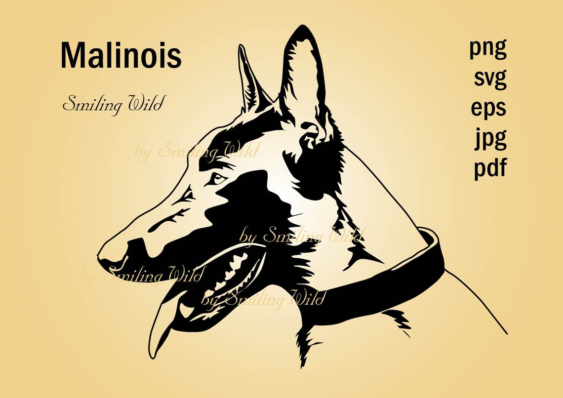Malinois Portrait Svg Png Vector Graphic Silhouette Belgian - Etsy