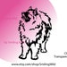 Wolfspitz Dog Svg Keeshond Clip Art Vector Graphic Art, Wolfspitz ...