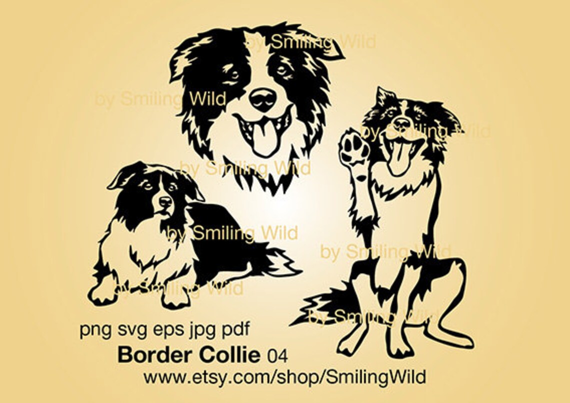 Border Collie Svg Dog Cut File Cliprat Border Collie - Etsy