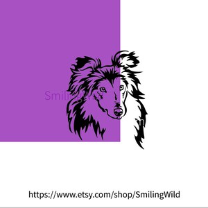 Sheltie Svg Clip Art Portrait, Sheltie Dog Vector Graphic Illustration ...