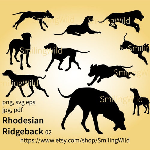 Rhodesian Ridgeback Svg /05/ Vector Graphic Art Sitting Dog - Etsy