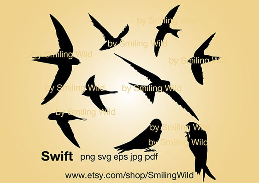Swift Svg Bird Cut File Silhouette Flying Bird Svg Cuttable Swift ...