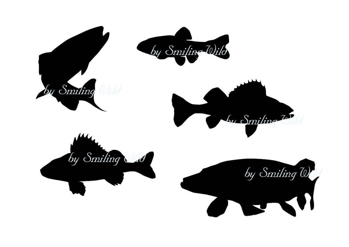 Fishes Freshwater River Svg Clipart Fish Silhouettes Print Eel - Etsy