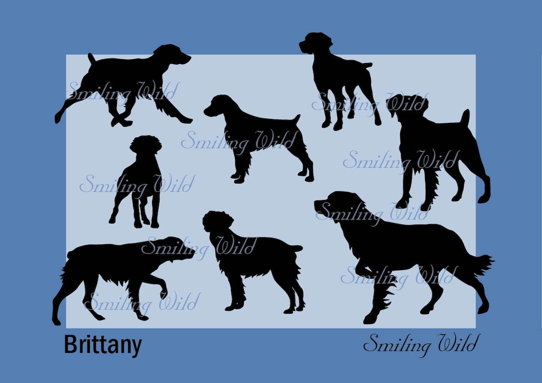 Brittany Dog Svg Silhouette Brittany Spaniel Clipart Printable Cut File ...