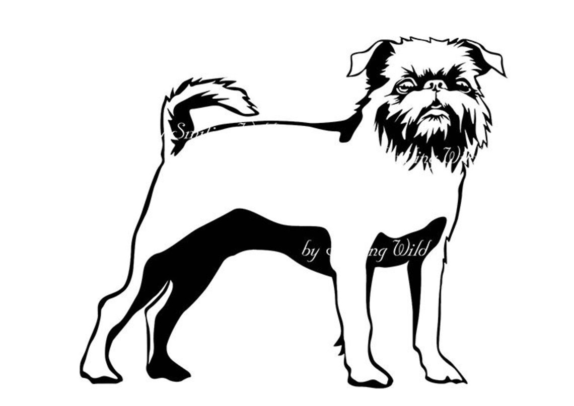 Brussels Griffon Svg Clipart Vector Graphic Printable Art Png - Etsy