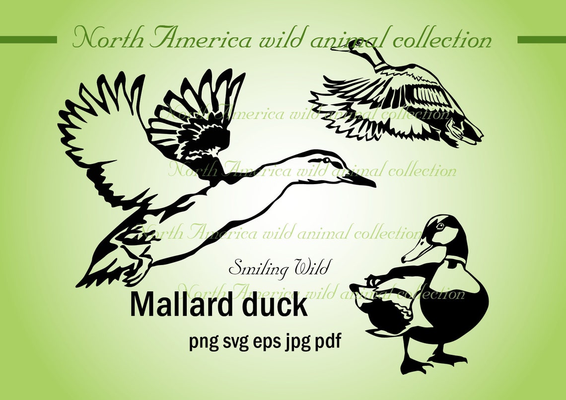 Mallard Duck Svg Art Clipart Vector Graphic Flying Bird | Etsy
