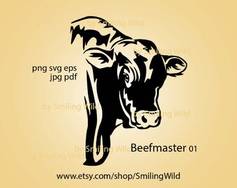 Beefmaster