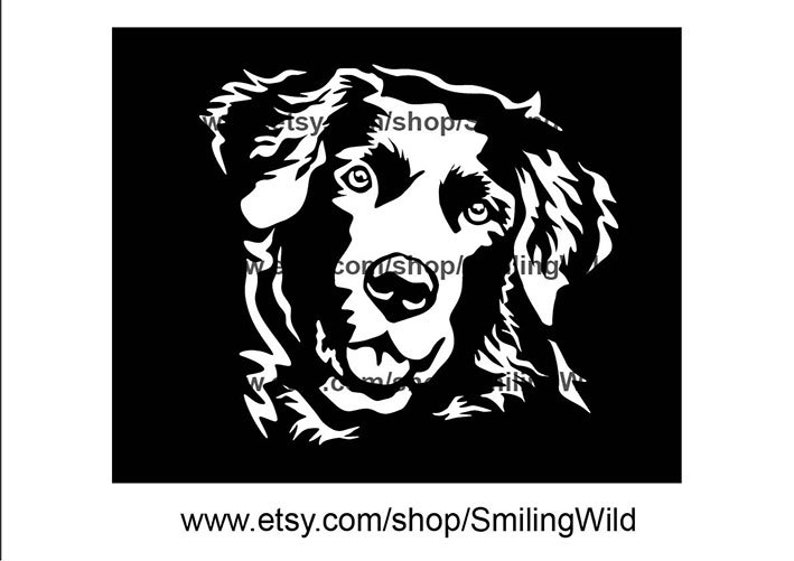 Stabyhoun Dog Breed Svg Clipart White Print on Black Stabyhoun | Etsy