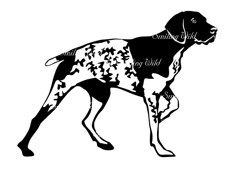 German Shorthaired Pointer Vector Graphic Art Pointer Portrait - Etsy ...