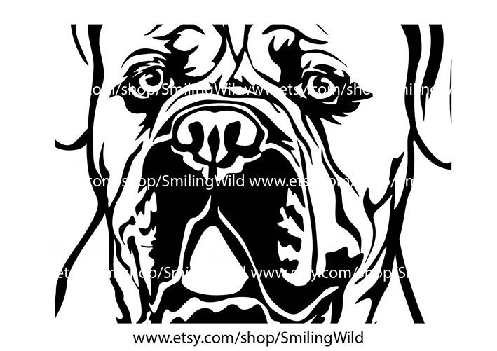 Cane Corso Svg Clipart Dog Head Portrait Cane Corso Cut File - Etsy Canada