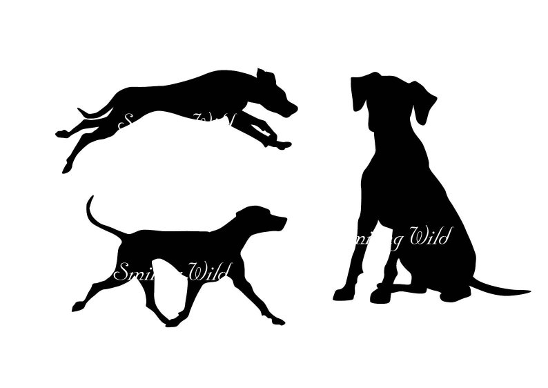 Rhodesian Ridgeback Svg Silhouette Clipart Printable Vector - Etsy Sweden