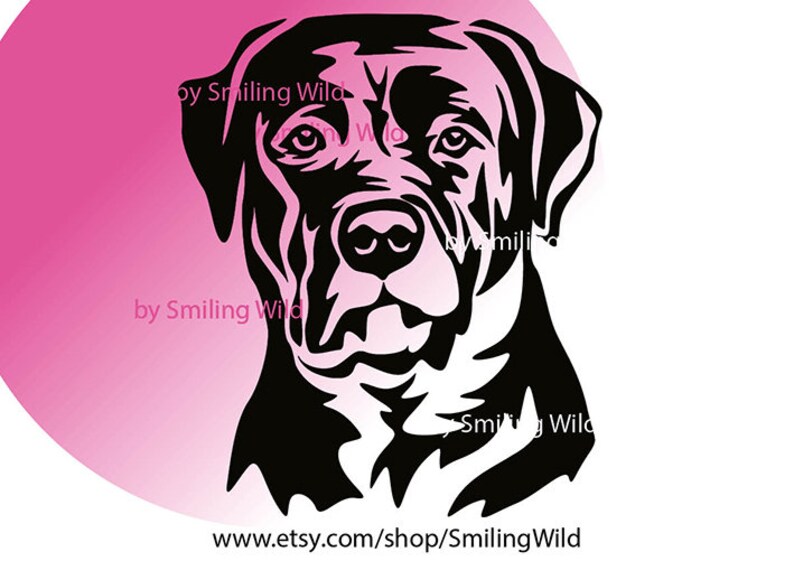 Cane Corso Dog Head Svg Design /06/ Cane Corso Clipart Vector - Etsy
