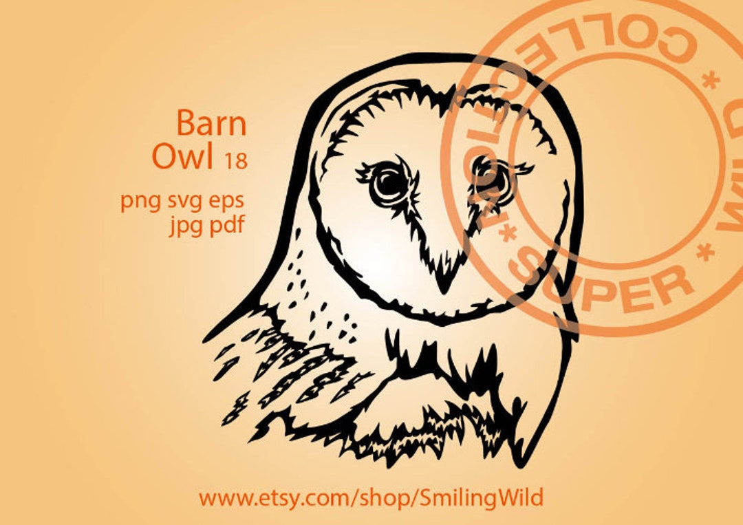 Barn Owl Svg Clip Art Portrait Design, Barn Owl Cuttable Bird of Prey ...