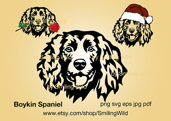 Boykin Spaniel Svg Clipart Portrait Vector Grpahic Art Santa - Etsy