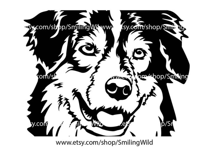Australian Shepherd Svg Head Vector Graphic Art for Logo and - Etsy
