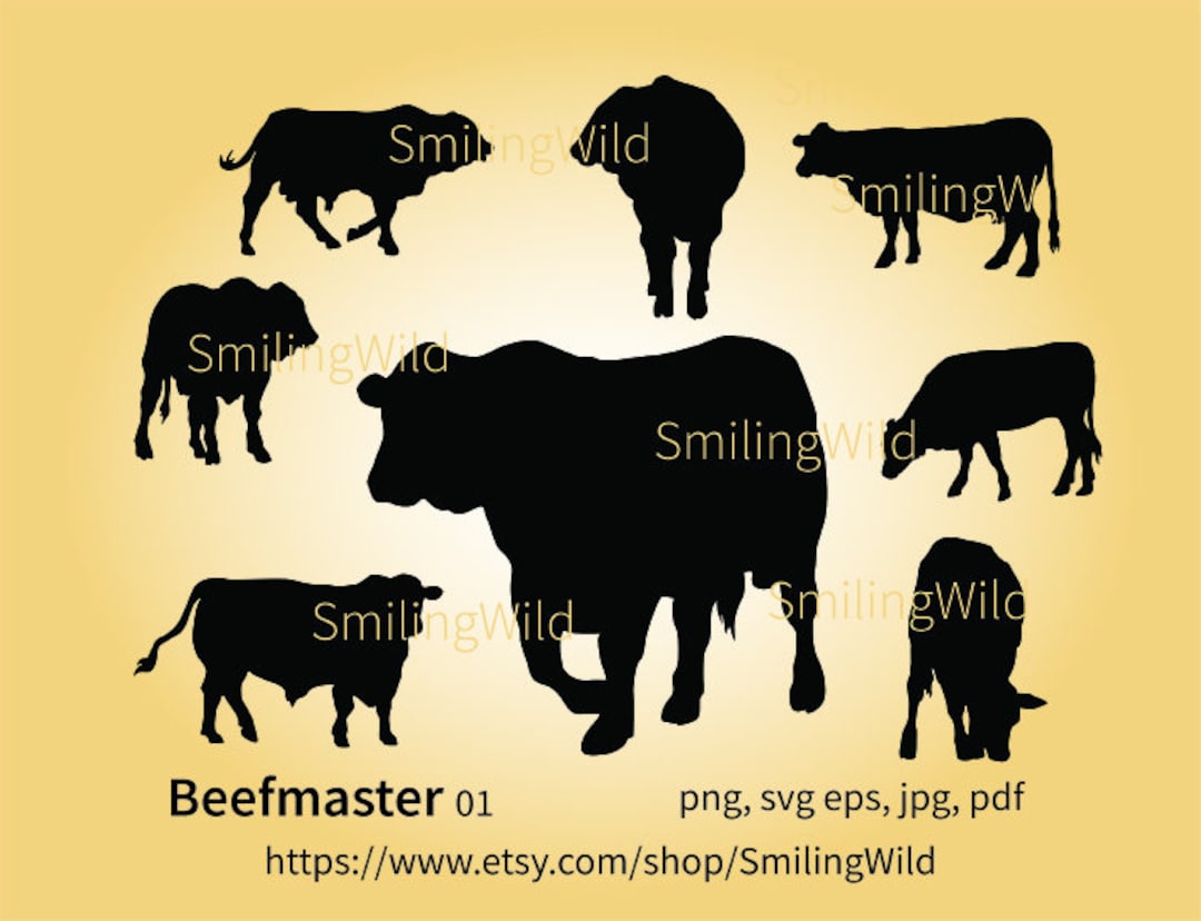 Beefmaster Cattle Svg Vector Graphic Silhouette Bundle, Beef Bulle ...