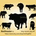 Beefmaster Cattle Svg Vector Graphic Silhouette Bundle, Beef Bulle ...