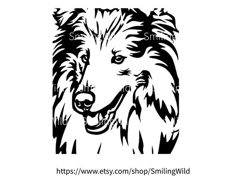 Rough Collie Head Svg Clip Art Illustration, Rough Collie Cuttable ...