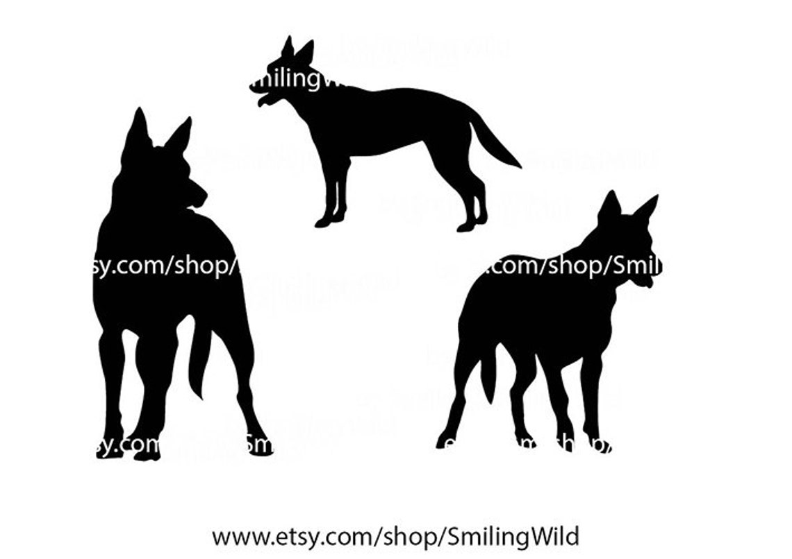 Australian Kelpie SVG, PNG, PDF Silhouette Bundle: Herding Dog Vector ...