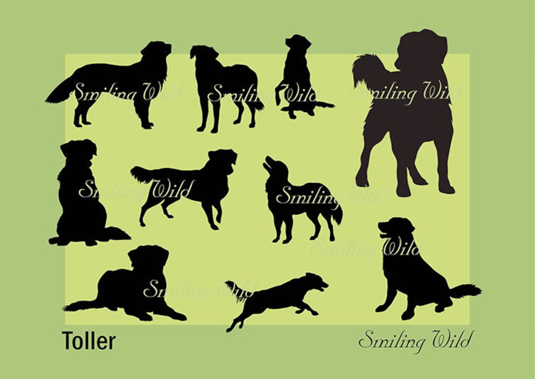 Toller Dog Silhouette Printable Svg Vector Graphic Nova Scotia Duck ...
