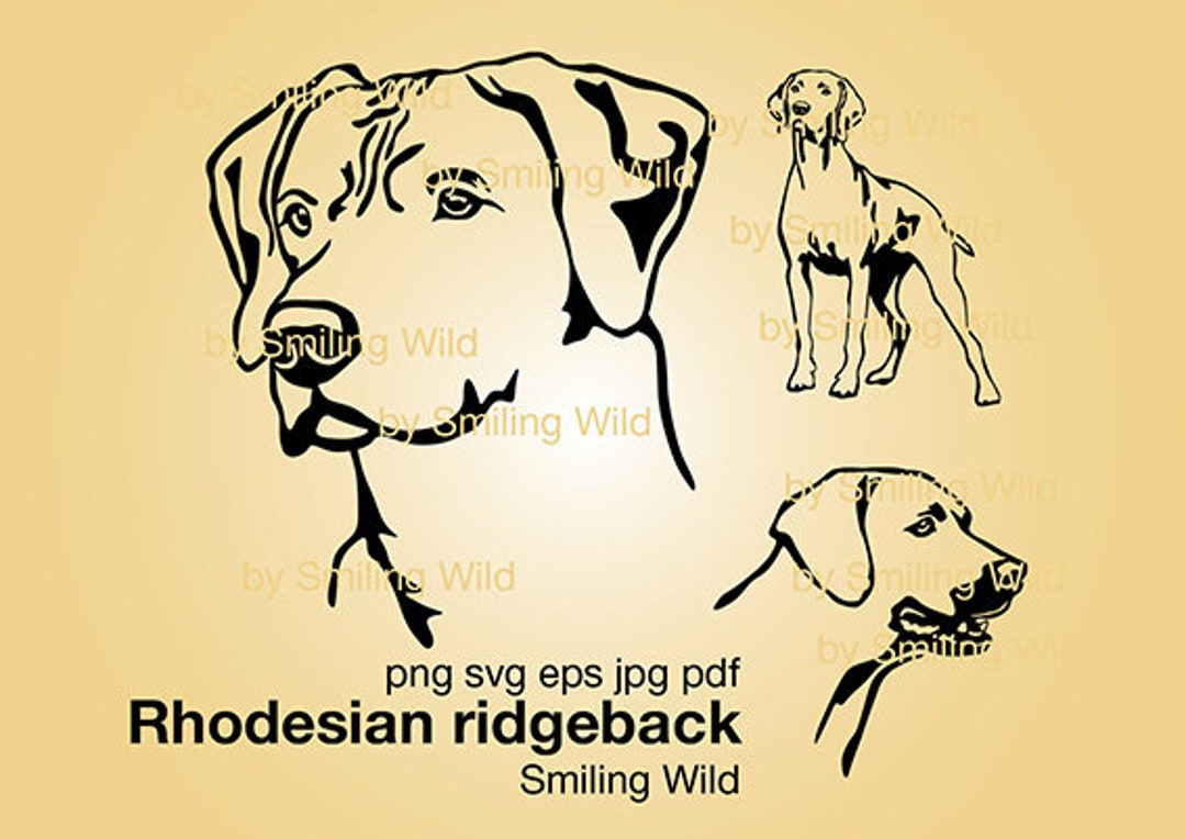 Rhodesian Ridgeback Svg Clipart Dog Head Portrait Vector Graphic Art ...