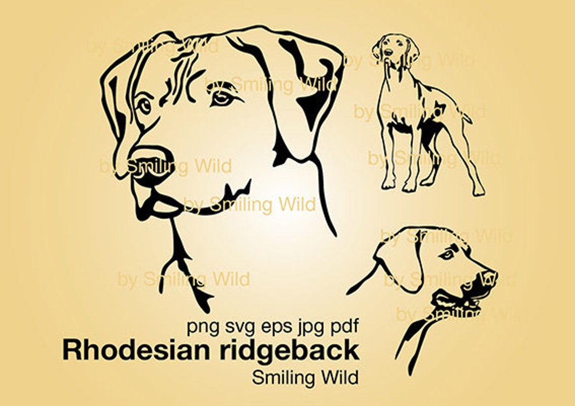 Rhodesian Ridgeback Svg Clipart Dog Head Portrait Vector - Etsy