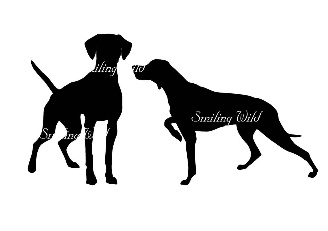 English Pointer Svg Silhouette Png Clipart Cutout File English | Etsy ...