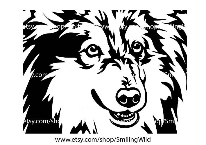 Sheltie Svg Portrait Digital Design Shetland Sheepdog Clip - Etsy