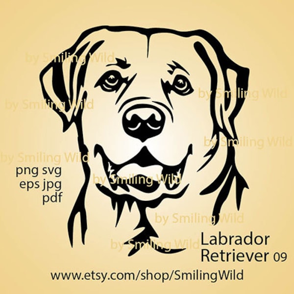 Peeking Lab Svg - Etsy