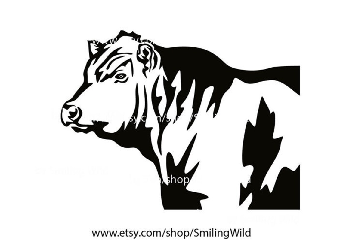 Black Angus /02/ Svg Vector Graphic Artwork Cattle Digital - Etsy