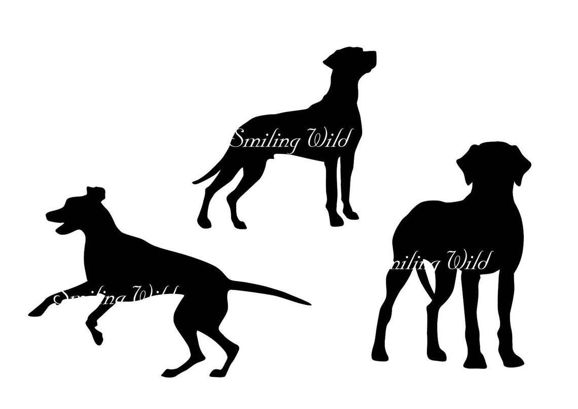 Rhodesian Ridgeback Dog Svg & Png Silhouette Bundle Clipart Printable ...