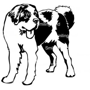 Saint Bernard Dog Svg Clipart St. Bernard Vector Graphic Art Cut File ...