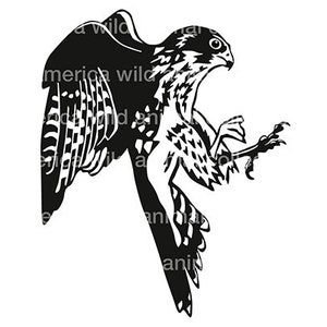 Merlin Svg Clipart Vector Graphic Art Falconry Digital Design Bird of ...