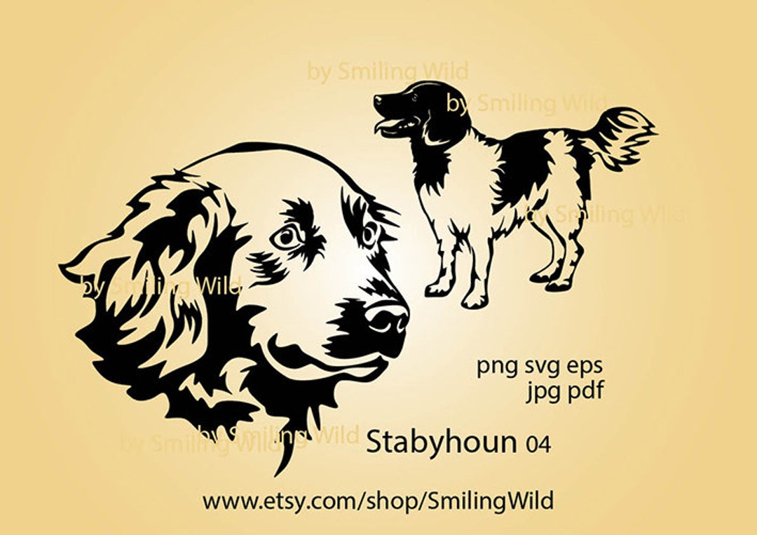 Stabyhoun Svg Vector Graphic Art Stabyhoun Clipart Portrait - Etsy