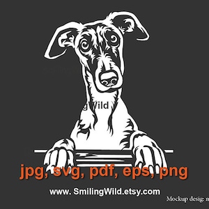 Galgo Svg Portrait White Vector Graphic Cut File, Peeking Galgo Dog ...