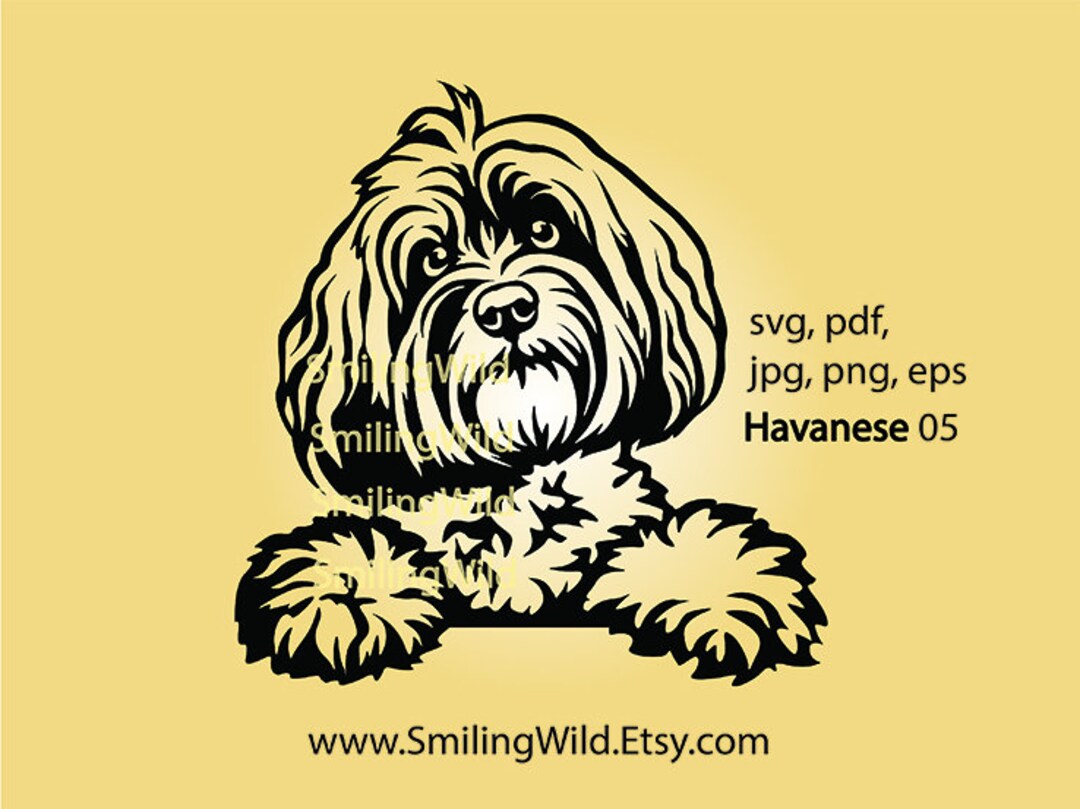Havanese Dog Svg Vector Cut File Cuttable Clip Artm Peeking Havanese ...