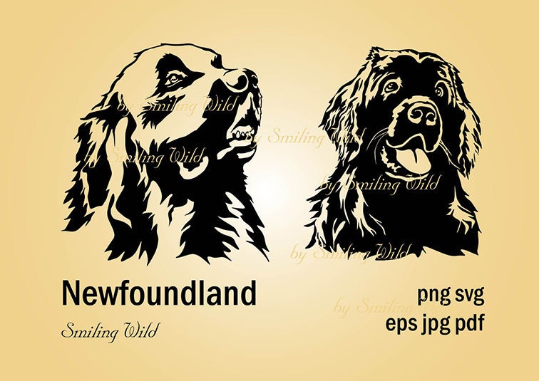 Newfoundland svg clipart dog design art printable newfoundland | Etsy