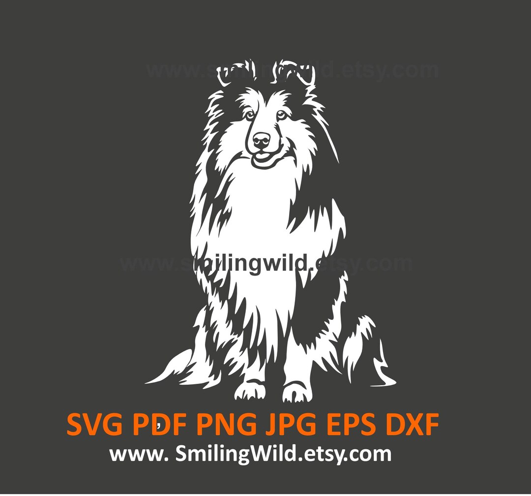 Shetland Sheepdog White Clipart SVG PNG DXF – Realistic Sheltie Dog ...