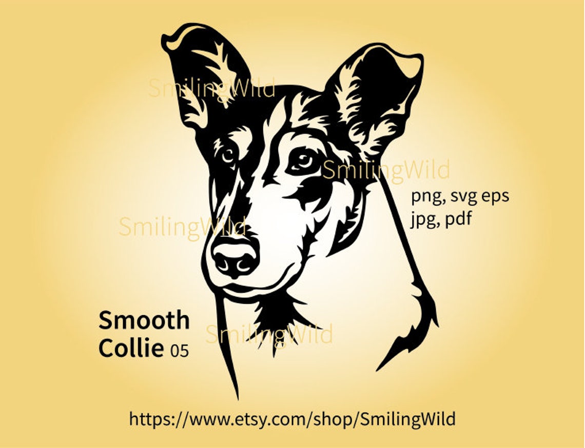 Smooth Collie Svg Dog Head Clip Art Cuttable Illustration | Etsy