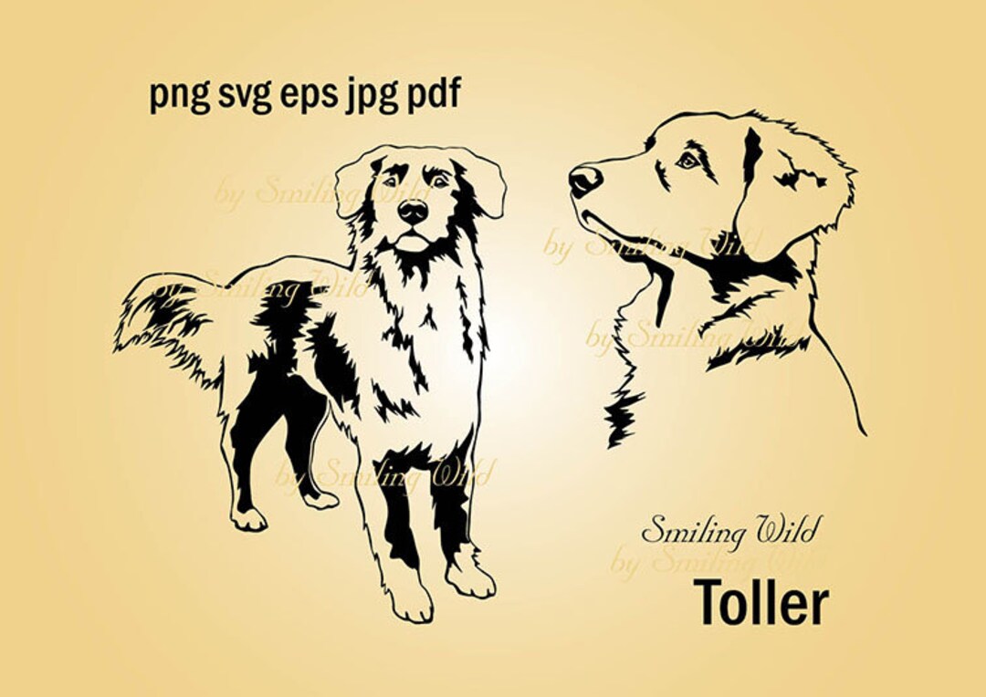 Toller Dog Svg Clipart Vector Graphic Art Png Nova Scotia Duck Tolling ...