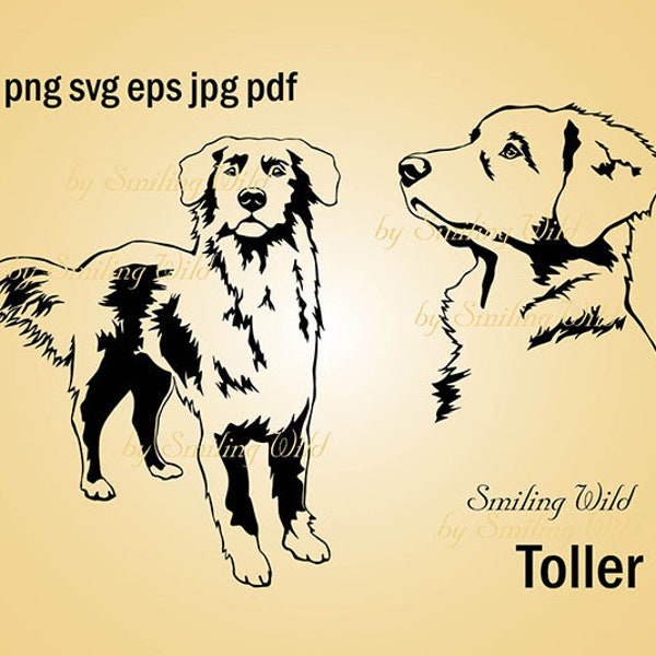 Nova Scotia Duck Tolling Retriever Clipart - Etsy