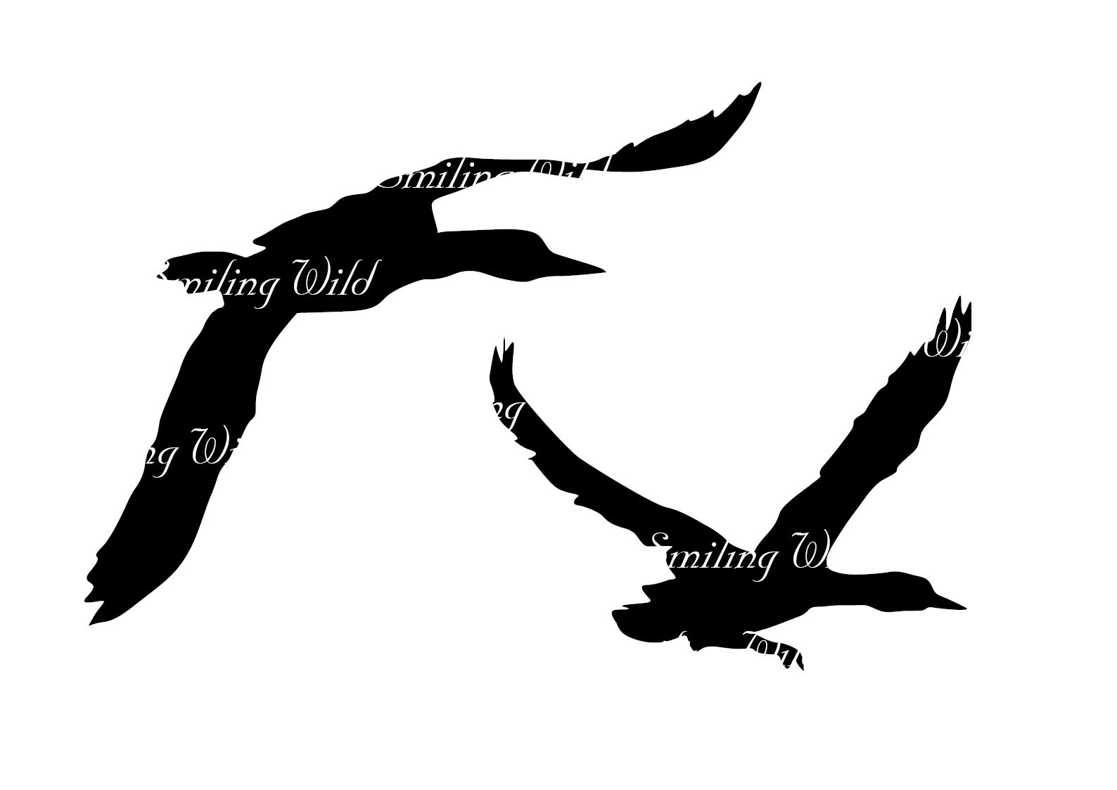 Loon Svg Silhouette Flying Bird Divers Clipart Png Vector - Etsy Canada