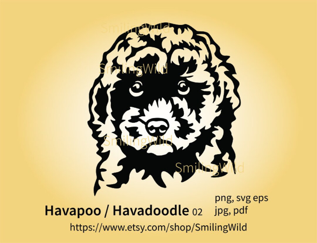Havapoo Svg Vector Graphic Design Havadoodle Cuttable Digital - Etsy