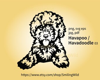 Havapoo Laser - Etsy