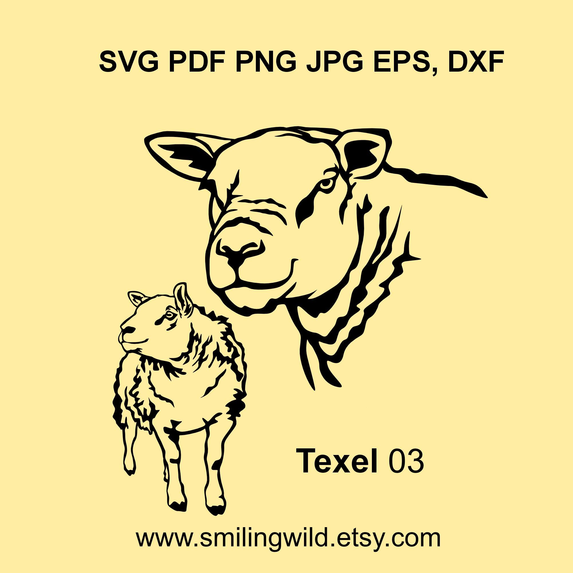 Texel Ram SVG PNG DXF Clipart Graphic: Realistic Sheep Vector Graphic ...