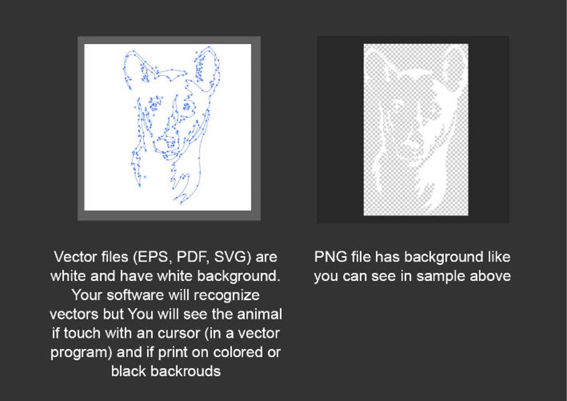 Dingo Svg Clip Art Cuttable Vector Graphic Portrait - Etsy