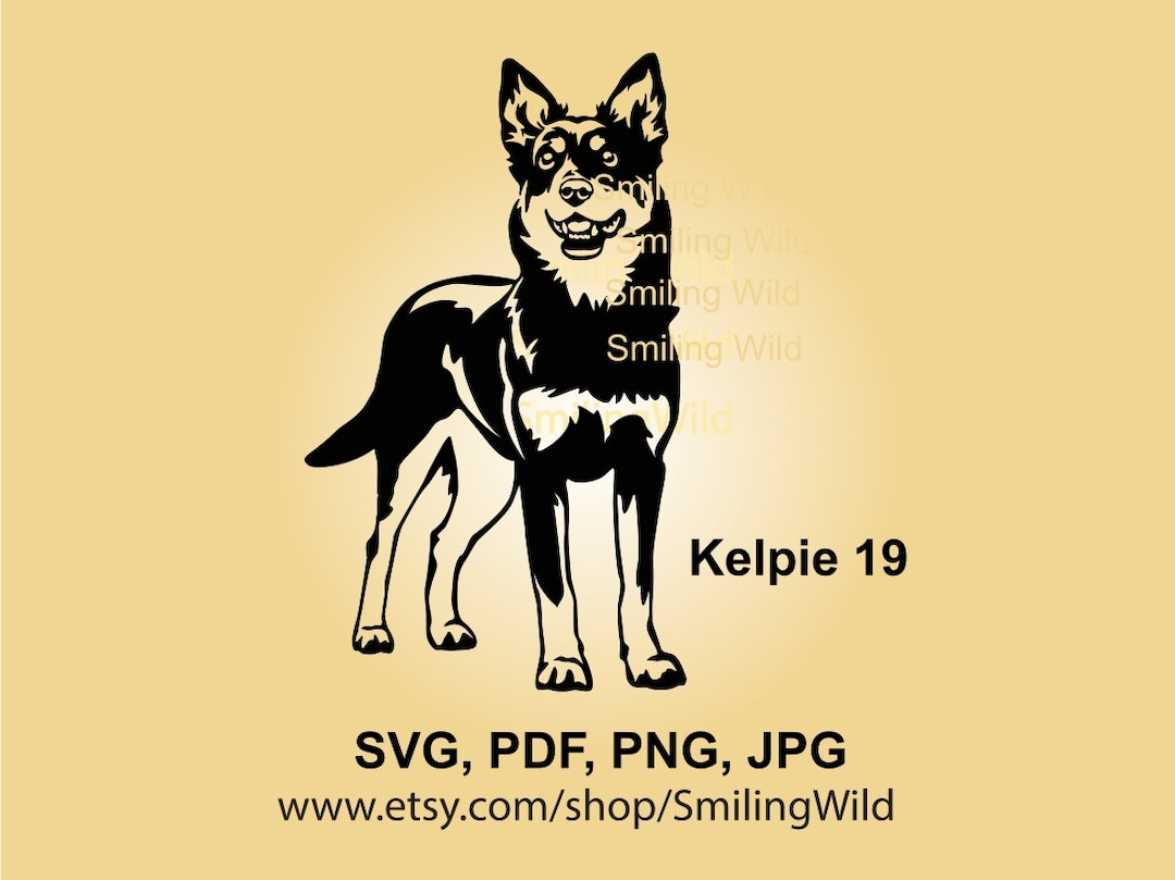 Kelpie Dog Svg Cuttable Clip Art File, Australian Kelpie Digital Vector ...