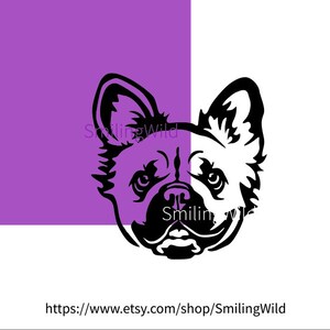 Fluffy French Bulldog Svg Clip Art Face Vector Graphic File, French ...